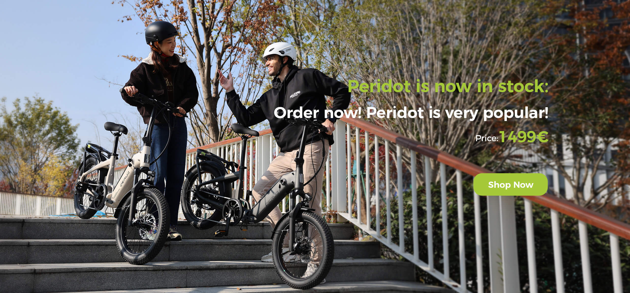 Deruiz E-bike | Pedelec | This Time, Beyond